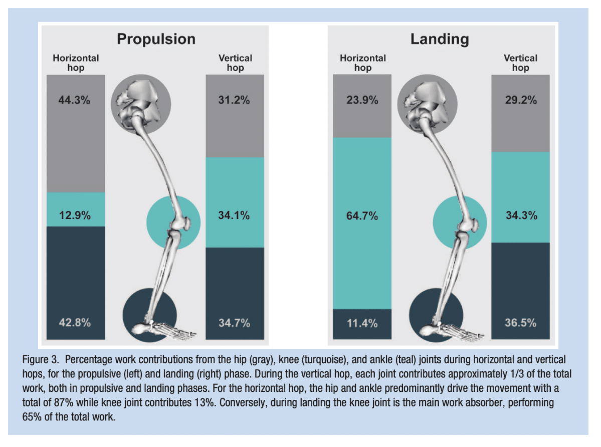 Hop Tests & ACL Return to Sport | Calgary Physiotherapy